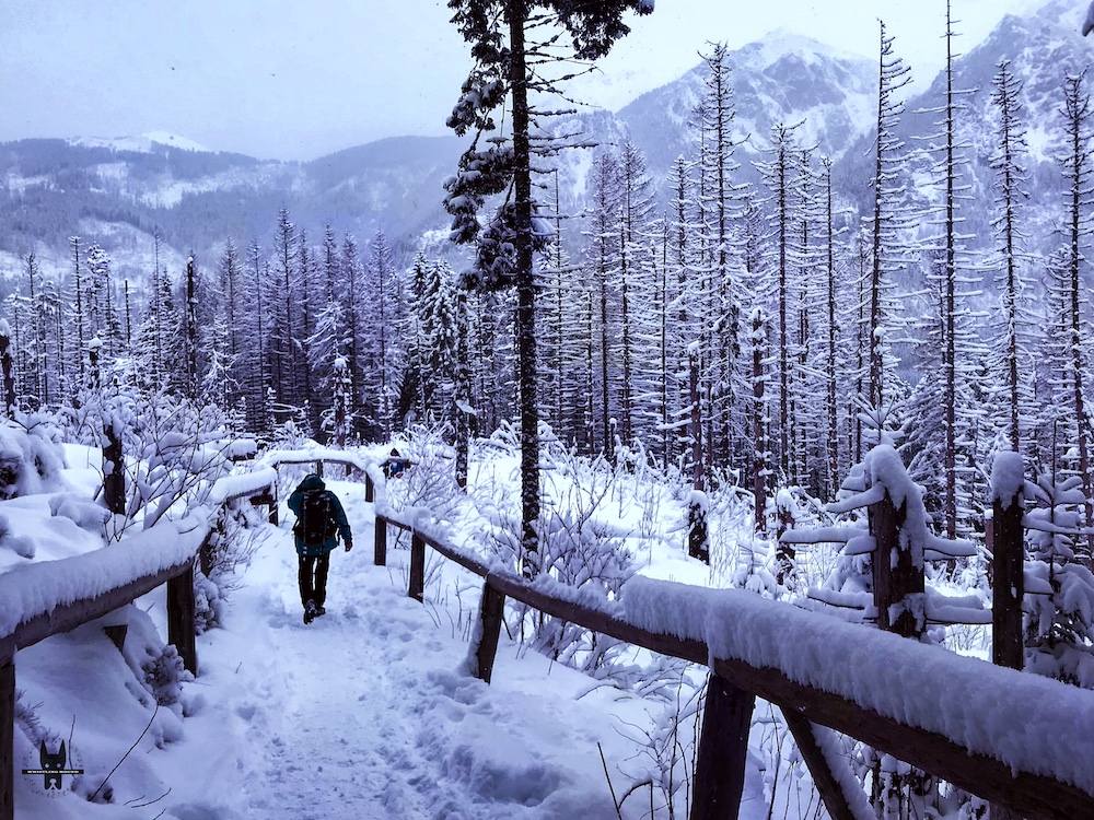 Top Zakopane Winter Activities – Poland’s Alpine Wonderland