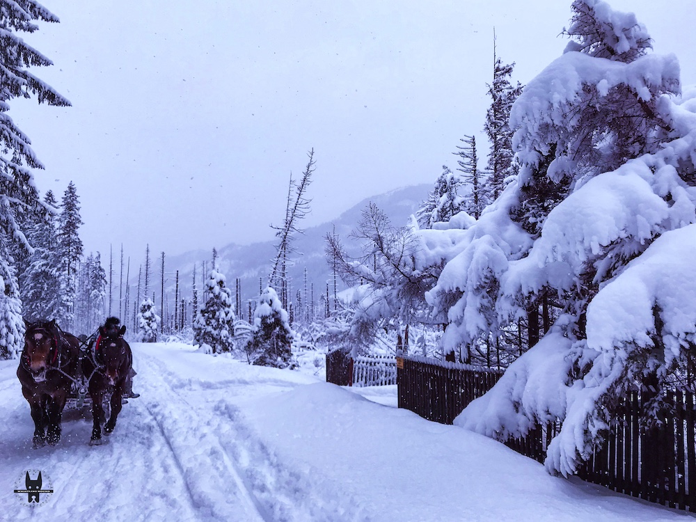Top Zakopane Winter Activities – Poland’s Alpine Wonderland